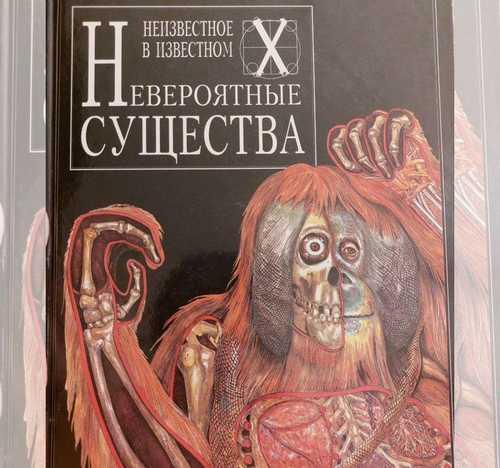 Книга детская Невероятные существа