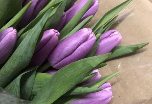Доставка тюльпаны