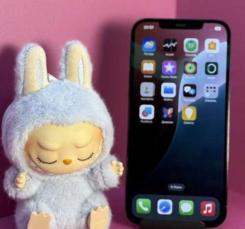 iPhone 12 Pro Max, 256 ГБ