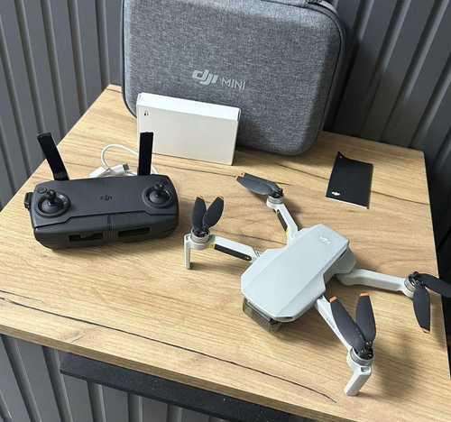 Dji mini se