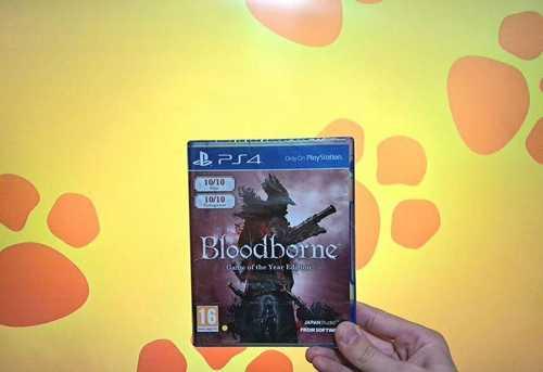 Bloodborne game of the year Edition PS4 (новый)