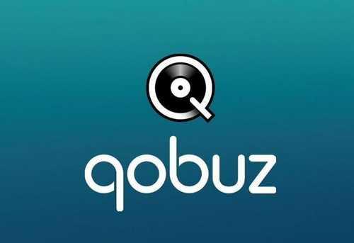 Бессрочная подписка Qobuz studio premier