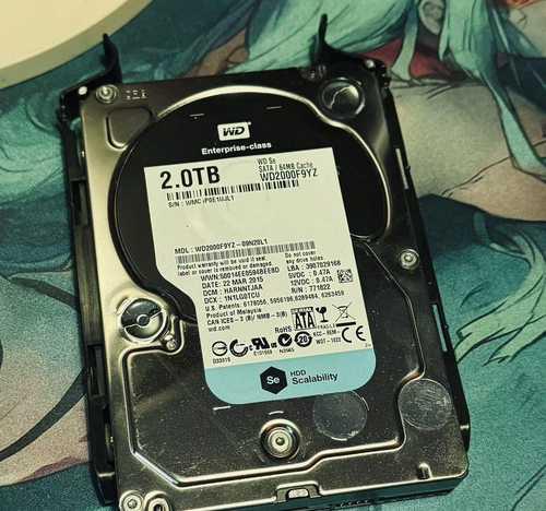 3.5 SATA WD HDD Scalability 2tb