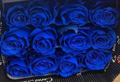 Свежие цветы:Синие розы