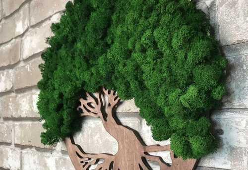Картина «Древо жизни» из стабилизированного мха