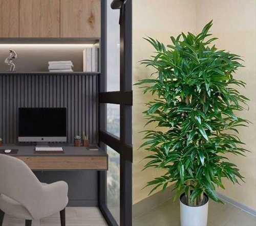 Бамбук премиум качества цветок искусственный