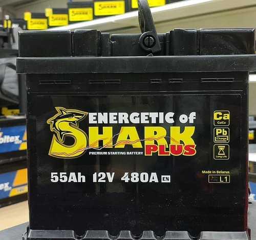 Energetic OF shark plus 55 Ah