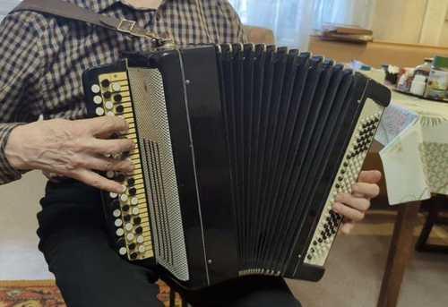 Баян тульский терка