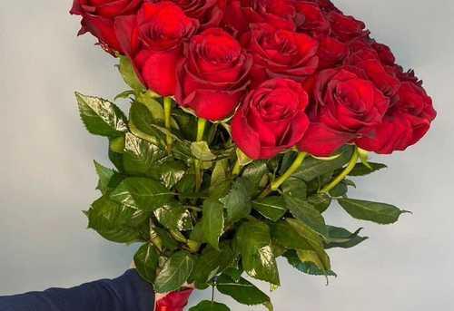 Цветы Букет 101 роза 25 роз Доставка