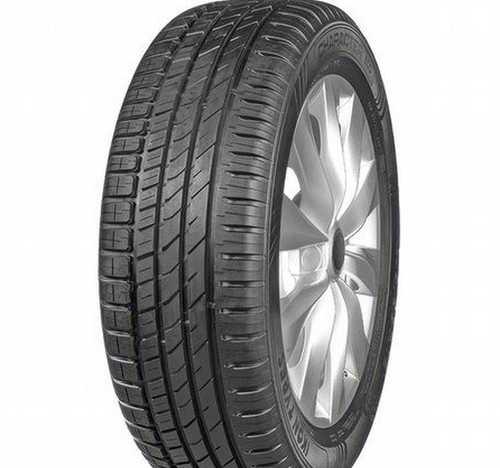 Ikon Tyres Nordman SX3 205/55 R16 91H