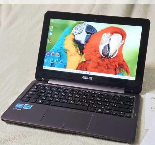 Сенсорный Asus Flip IPS экран 11.6" SSD диск Офис