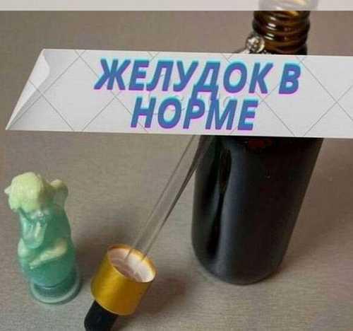 Экстракт желудок в норме