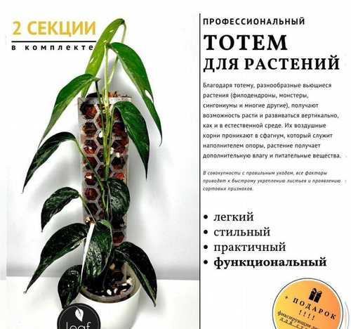 Опоры для комнатных растений