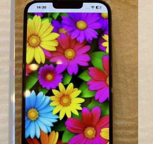 iPhone 13 Pro Max, 256 ГБ