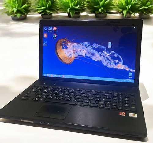 Ноутбук Lenovo G575