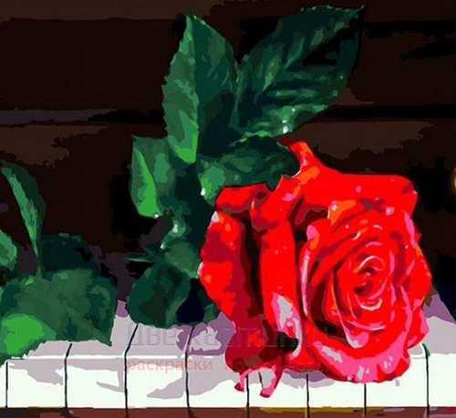 Картина по номерам 40x50 Ярко-красная роза на клав