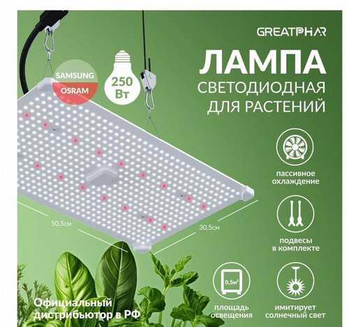 GreatPhar LED DZ22 250 Вт