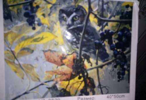 Картина по номерам "Сова и виноград"