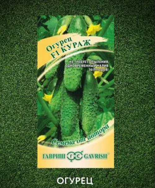 Семена кабачков и огурцов оптом | Festima.Ru - Мониторинг объявлений