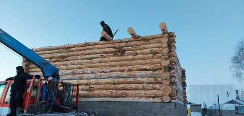 Сруб 8х10 из Бурзянской сосны