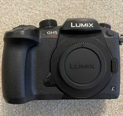 Panasonic GH5S Body 13к русский язык