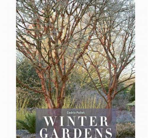 Winter Gardens: Reinventing the Season