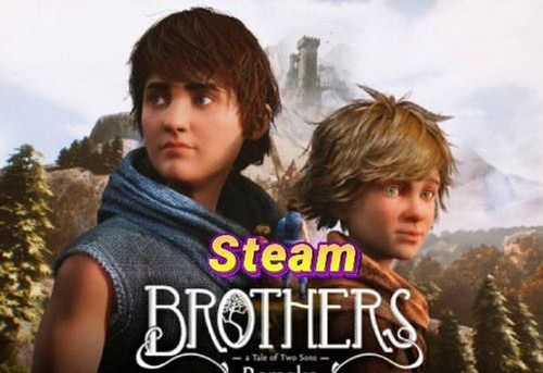 Brothers: A Tale of Two Sons - Пополнение Steam