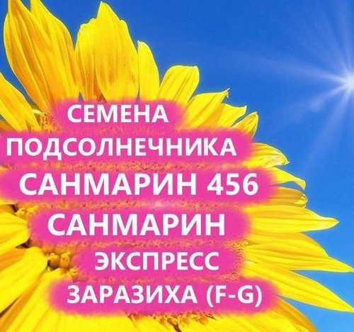 Семена подсолнечника Санмарин 456 Гибрид, Крым