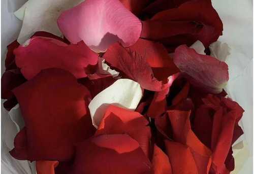 Доставка лепестков роз