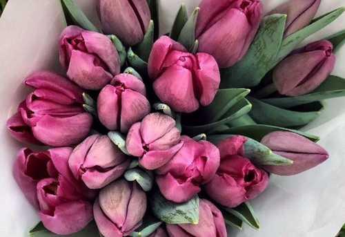 Тюльпаны к 8 марта оптом от производителя