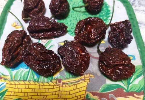 Trinidad Scorpion Moruga Chocolate