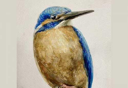 Акварельный рисунок «Птица Зимородок»