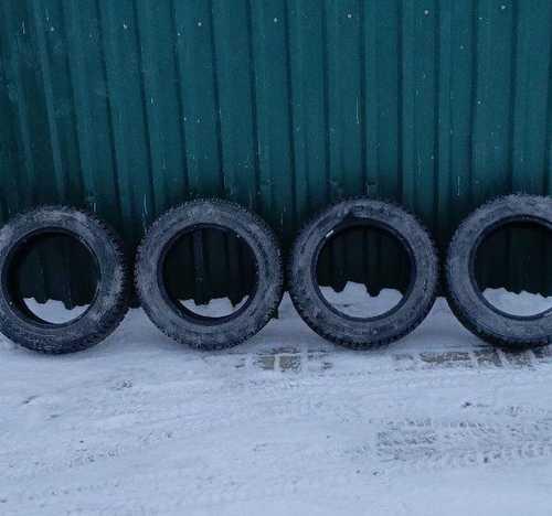 Nokian Tyres Nordman 5 175/65 R14