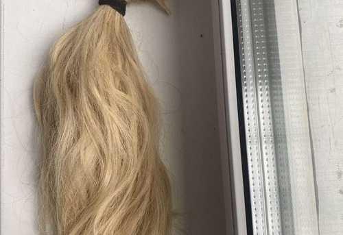 Волосы блонд для наращивания бу