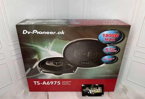 Автоколонки Pioneer TS-A6975 1800W 24x16см