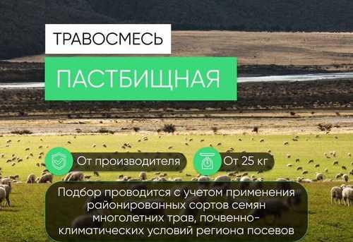 Травосмесь пастбищная