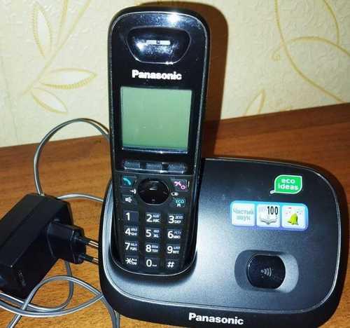 Panasonic