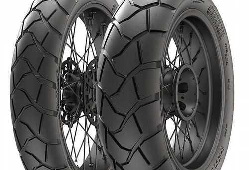 110/80R19 capra-RD 59V TL anlas (6243) Front