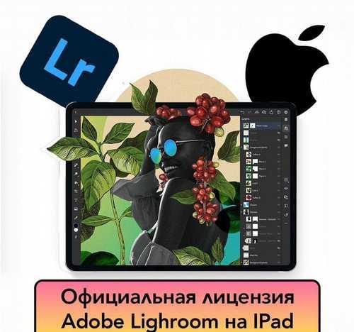 Лицензия Adobe Lightroom на iPad