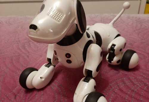 Электронная собака робот
