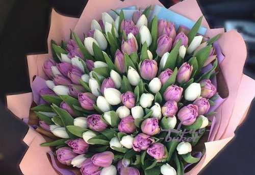 Тюльпаны Голанские белый фиолетовый зелёный