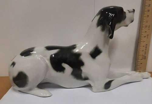 Фарфоровая статуэтка Собака (Пойнтер) лфз