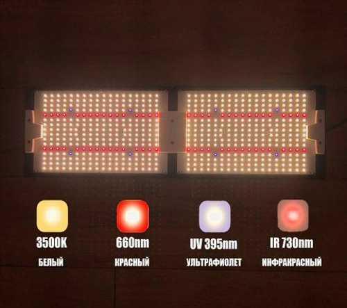 Quantum Board Samsung LM301H 240w