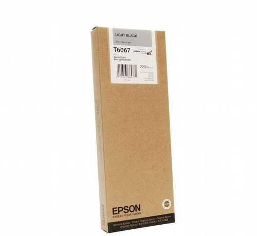 Струйный картридж Epson T6067 Серый 118552