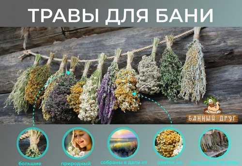 Травы для бани в Москве