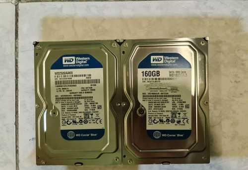 Western Digital WD Blue 160 гб и 250 Гб