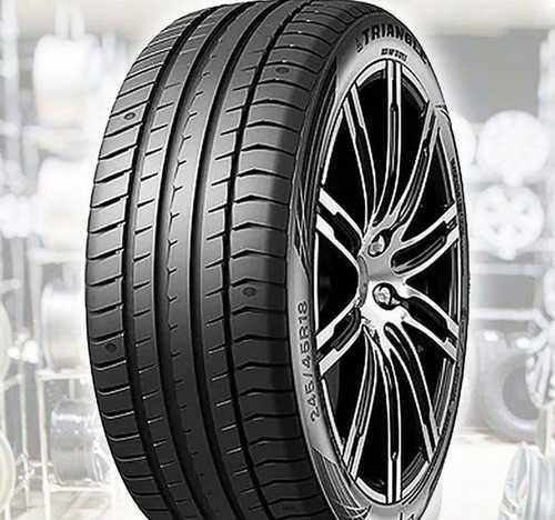 Triangle EffeXSport TH202 255/30 R19