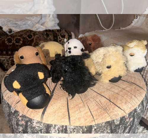The dog collection