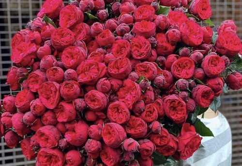 Пионовидные Кустовые Розы Букет Цветы Доставка