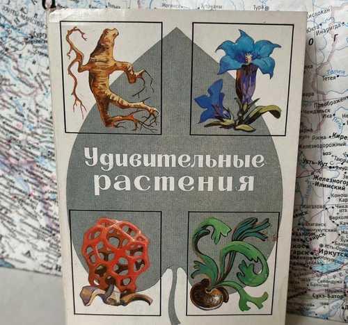 Удивительные растения/Набор из 32 открыток